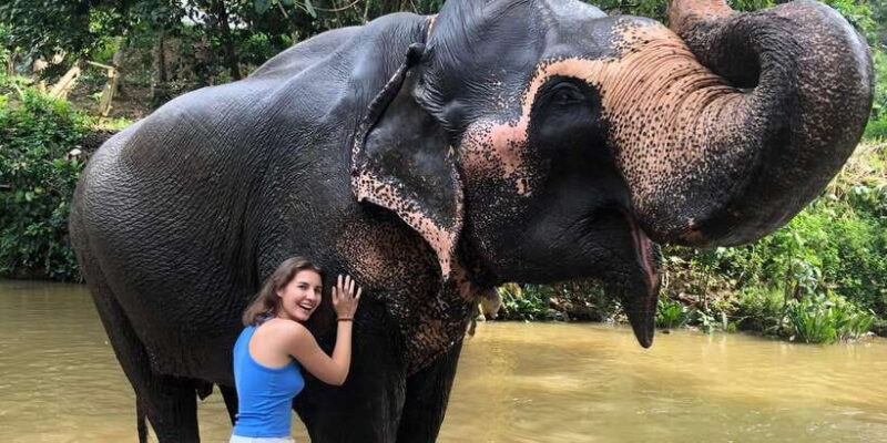 Kandy privet day tour with pinnawala and Tea plantation - Value and Practical Considerations