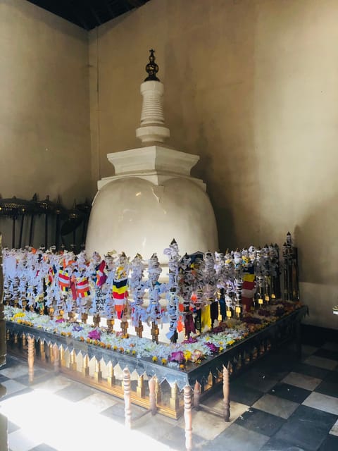 Kandy privet day tour with pinnawala and Tea plantation - FAQs