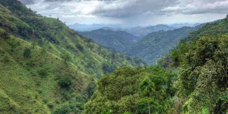 Kandy: Shanthipura and Nuwara Eliya - Hakgala Botanical Gardens: A Florist’s Paradise