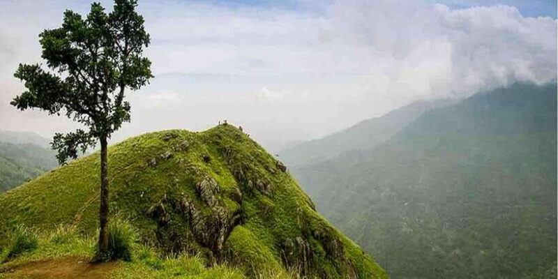 Kandy: Shanthipura and Nuwara Eliya - Touring a Tea Factory at Mackwoods Labookellie