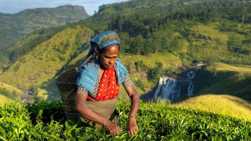 Kandy: Shanthipura and Nuwara Eliya - Reaching Shanthipura for Sunset Views