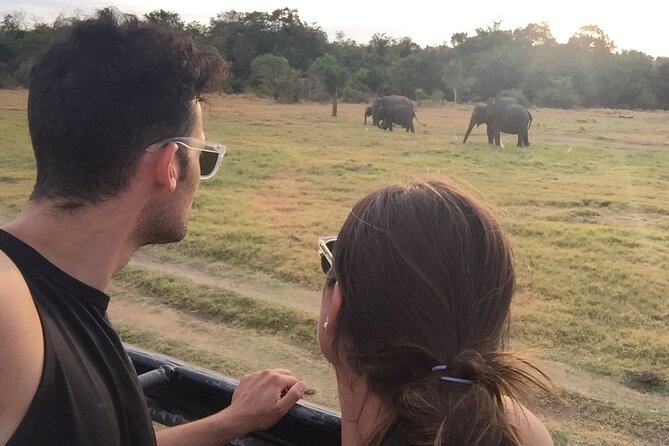 Kandy Sigiriya Day Trip by tuk,tuk/car/van - Key Points