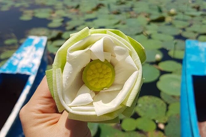 Kandy - Sigiriya Full-Day Private Tour - Who Should Consider This Tour?