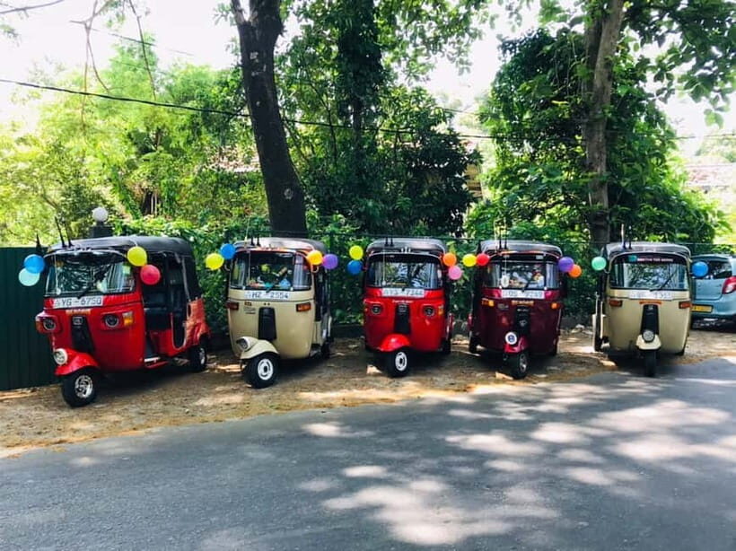 Kandy : Sigiriya Guided Day Tour By Tuk Tuk - FAQ