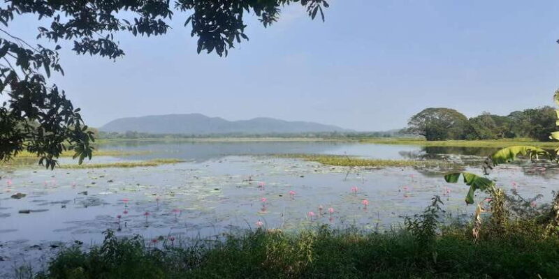 Kandy : Sigiriya Guided Day Tour By Tuk Tuk - Key Points