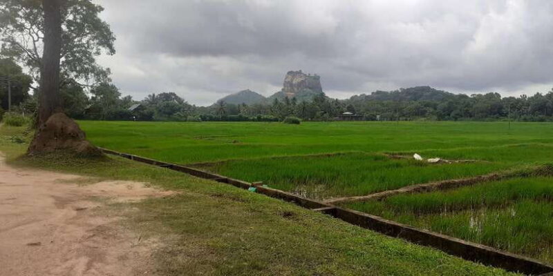 Kandy : Sigiriya Guided Day Tour By Tuk Tuk - The Sigiriya Experience