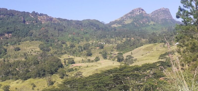 Kandy : Sigiriya Guided Day Tour By Tuk Tuk - Practical Details and Value