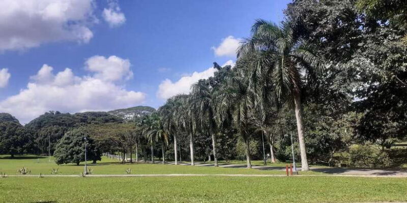 Kandy : Sigiriya Guided Day Tour By Tuk Tuk - The Experience in Context: What It Means for You