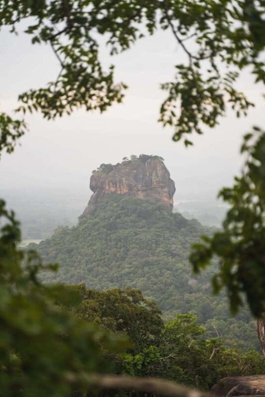 Kandy: Sigiriya Rock and Dambulla Cave Temple Private Tour - Who Is This Tour Best For?