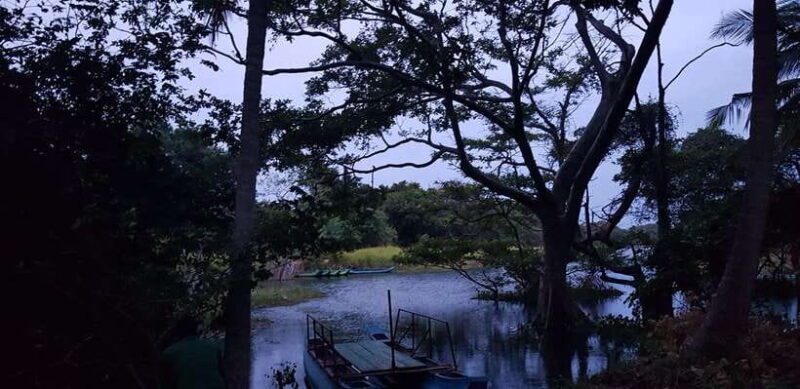 Kandy: Sigiriya Rock and Dambulla Cave Temple Private Tour - Final Thoughts: Is This Tour Right for You?