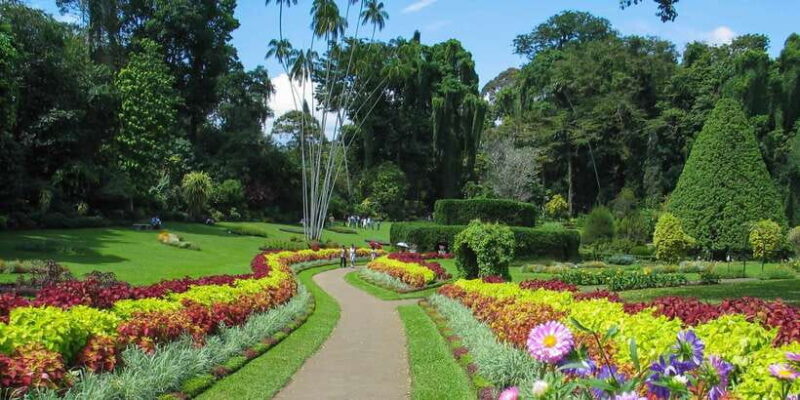 Kandy: Temples, Gardens & Cultural Show City Highlights Tour - Final thoughts