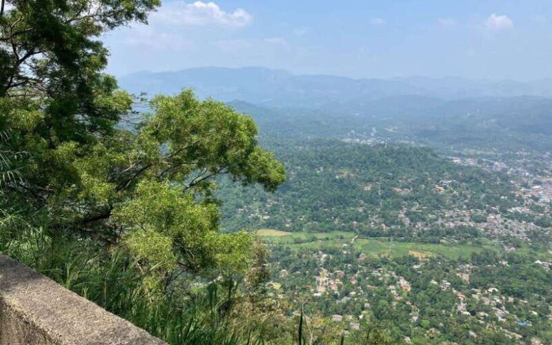 Kandy to Ambuluwawa Tower, Pinnawala, Full Day Tour - Final Thoughts