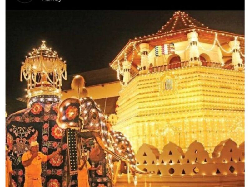 Kandy to Ambuluwawa Tuk Tuk Day Tour : by Local - Frequently Asked Questions