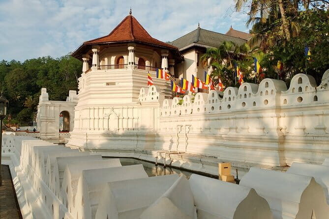 Kandy to Nanuoya (Nuwaraeliya) by Train - Reserved Seats - Who Is This Tour Best For?
