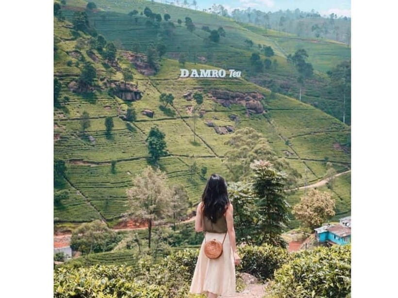 Kandy to Nuwara Eliya Day Tour - An In-Depth Look at the Kandy to Nuwara Eliya Day Tour