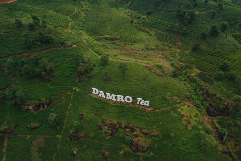 Kandy To Nuwara Eliya Day Tour By Tuk Tuk Sri lanka - FAQ