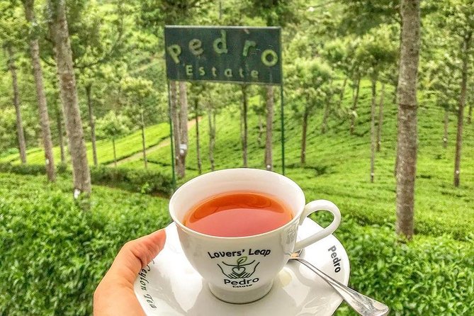 Kandy to Nuwara Eliya Day Tour - Introduction