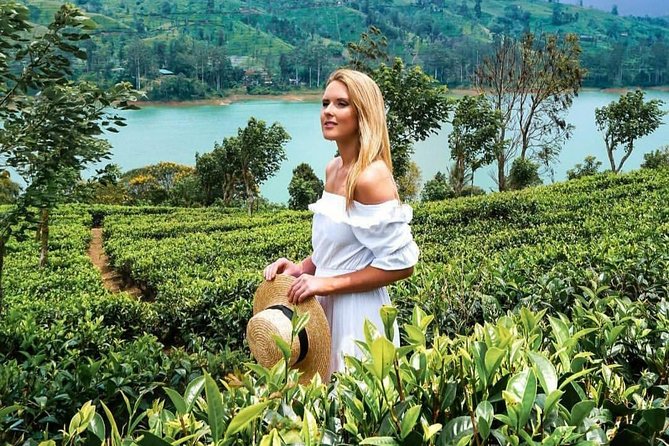 Kandy to Nuwara Eliya Day Tour - Final Thoughts