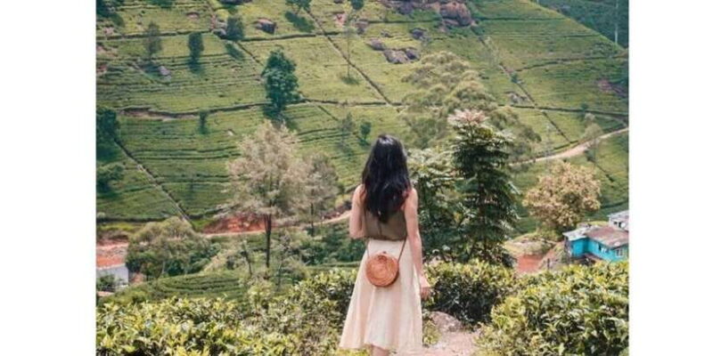 Kandy to Nuwaraeliya Day Or Drop Tour By Local Tuk Tuk - Ramboda Waterfalls: Nature’s Power