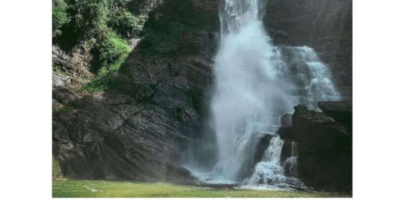 Kandy to Nuwaraeliya Day Or Drop Tour By Local Tuk Tuk - Damro Tea Factory: Tasting and Learning