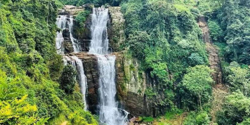 Kandy to Nuwaraeliya Day Tour By Tuk Tuk - Key Points