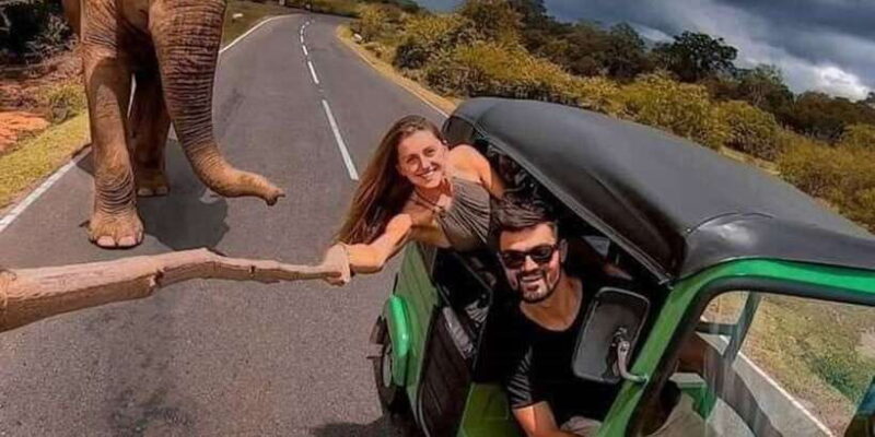 Kandy to Nuwaraeliya Day Tour By Tuk Tuk - What’s Included and What’s Not