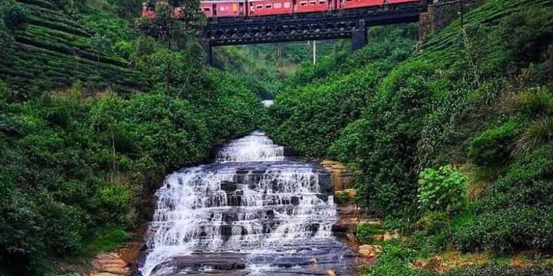 Kandy to Nuwaraeliya Day Tour By Tuk Tuk - Practical Tips for Travelers