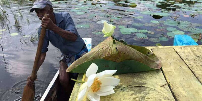 Kandy to Sigiriya-Dambulla Day trip - Key Points