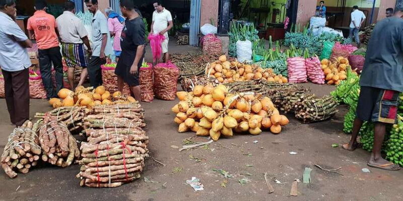 Kandy to Sigiriya-Dambulla Day trip - What’s the Value?