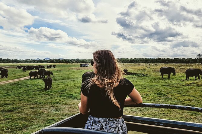 Kandy to Trincomalee Shuttle & Safari Drive - Introduction: A Wildlife Adventure from Kandy to Trincomalee