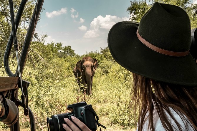 Kandy to Trincomalee Shuttle & Safari Drive - The Value of This Tour