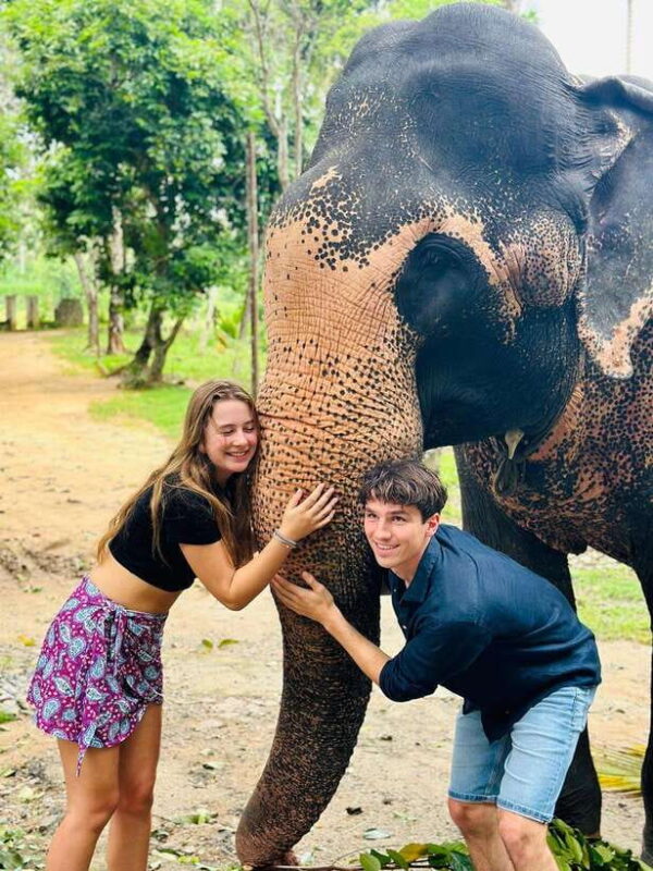 Kandy: Tuk Tuk Adventure with Pinnawala & Ambuluwawa Tower - Key Points