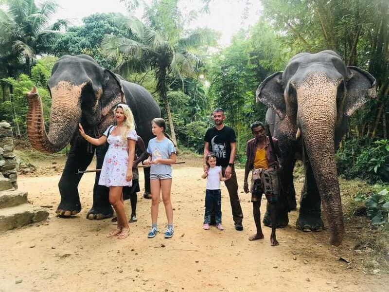 Kandy: Tuk Tuk Adventure with Pinnawala & Ambuluwawa Tower - The Sum Up