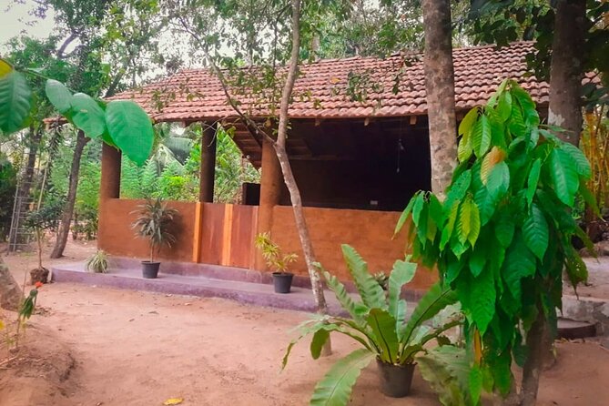 Kandy Village Cooking Class - Introduction: An Authentic Taste of Sri Lanka