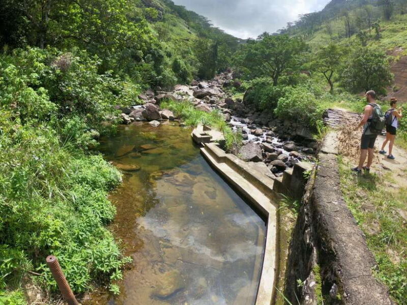 Kandy: Waterfalls and Local Village Day Tour with Lunch - Why This Tour Offers Value