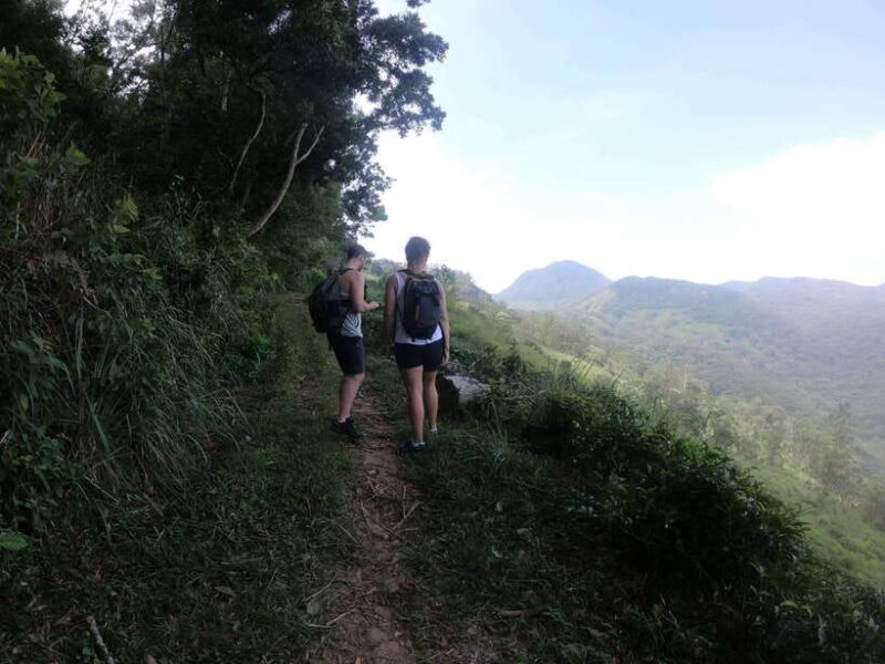 Kandy: Waterfalls and Local Village Day Tour with Lunch - Who Should Consider This Tour?