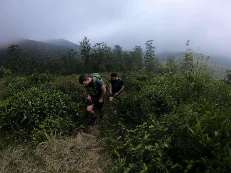 Kandy: Waterfalls and Local Village Day Tour with Lunch - FAQs