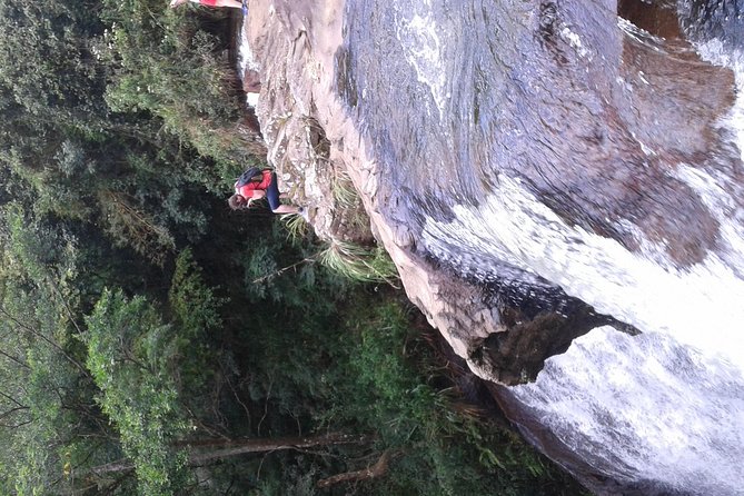 kandy waterfalls day tour - The Sum Up: Is This Tour Right for You?