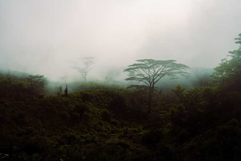 Kandy(Meemure): Knuckles Range Guided Small-Group Hike - Why Choose This Tour?