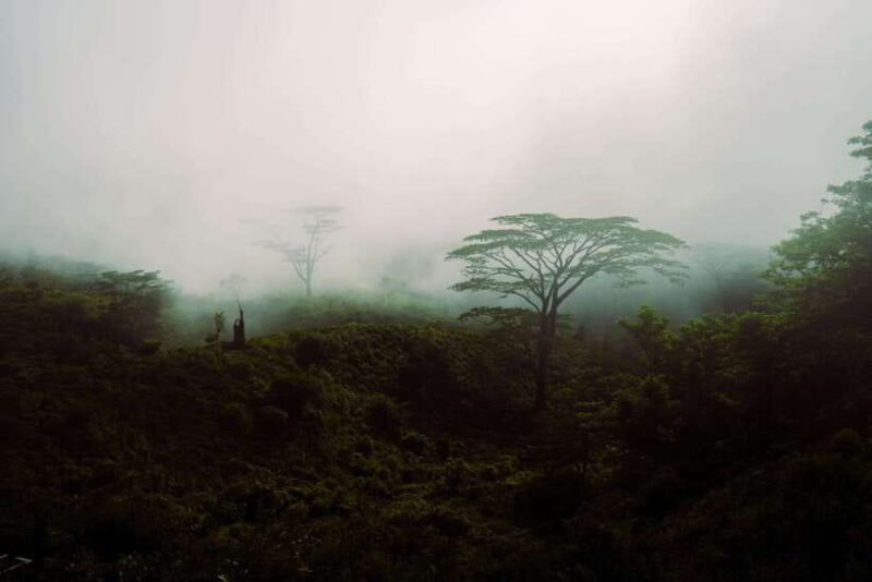 Kandy(Meemure): Knuckles Range Guided Small-Group Hike - Key Points