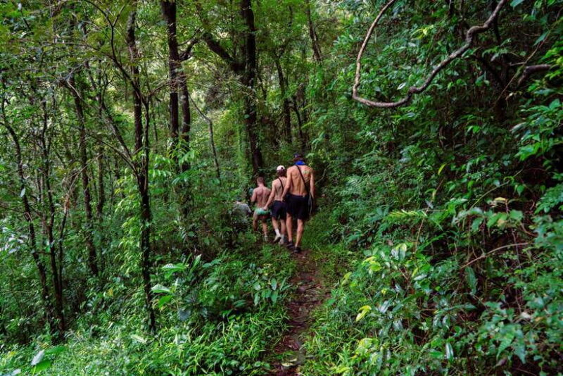 Kandy(Meemure): Knuckles Range Guided Small-Group Hike - FAQs