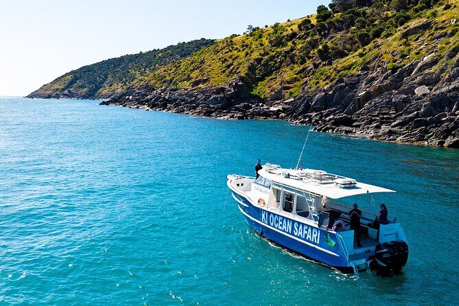 Kangaroo Island 75-Minute Coastal Safari - Who Will Love This Tour?