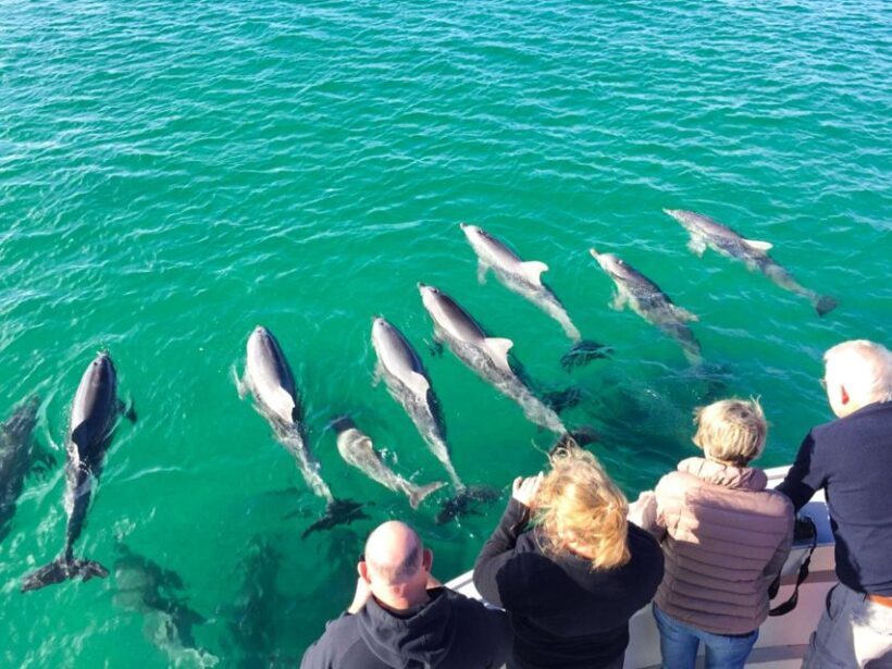 Kangaroo Island: 75-Minute Coastal Safari - Who Should Consider This Tour?
