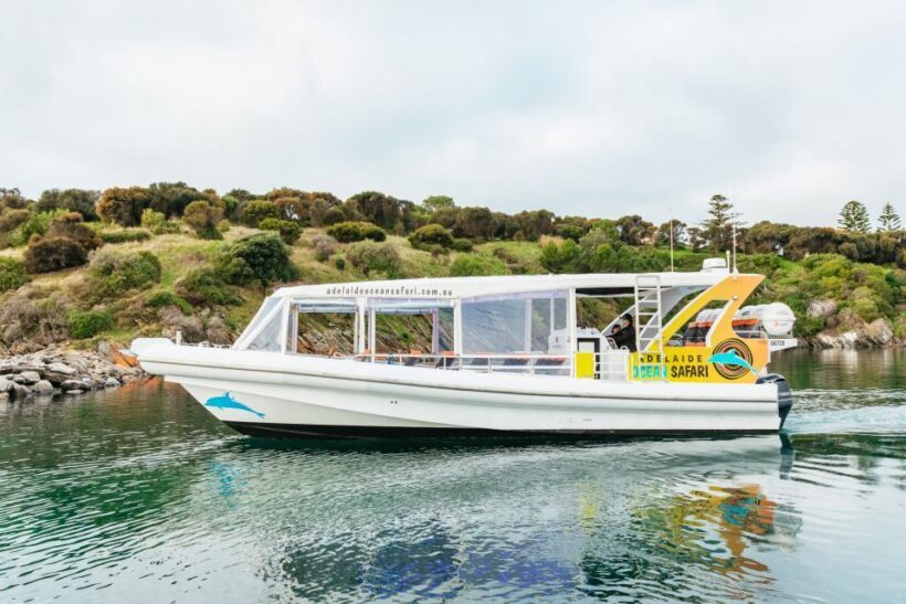 Kangaroo Island: 75-Minute Coastal Safari - Why This Tour Matters: The Authenticity of Wildlife Encounters