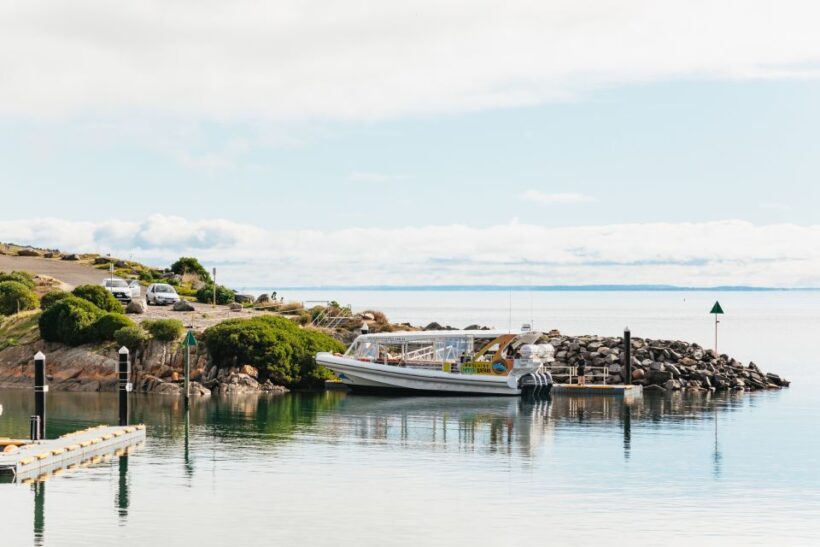 Kangaroo Island: 75-Minute Coastal Safari - Who Will Get the Most Out of This Experience?