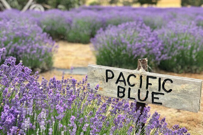 Kangaroo Island Half Day Tasting Tour - Final Thoughts