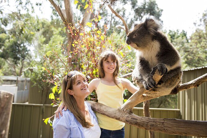 Kangaroo Island in a Day Tour from Adelaide - Price and Value