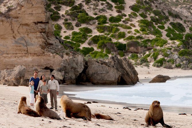 Kangaroo Island Scenic Nature and Wildlife Day Tour - A Detailed Look at the Tour Itinerary