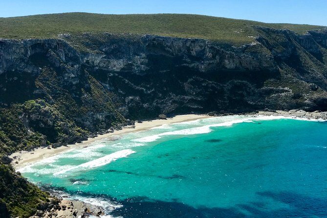 Kangaroo Island Scenic Nature and Wildlife Day Tour - Real Experiences and Honest Feedback