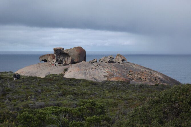 Kangaroo Island Scenic Nature and Wildlife Day Tour - Who Will Appreciate This Tour?